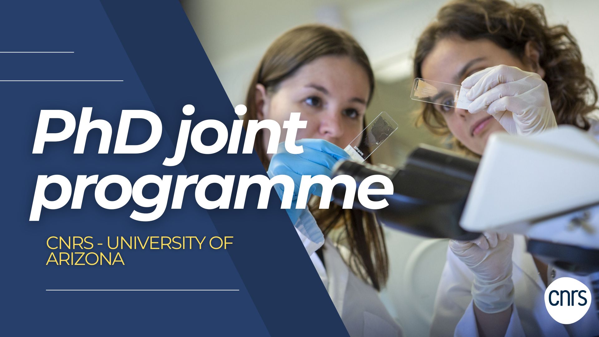 PhD joint programme 2025 - Université d'Arizona | CNRS Sciences humaines & sociales
